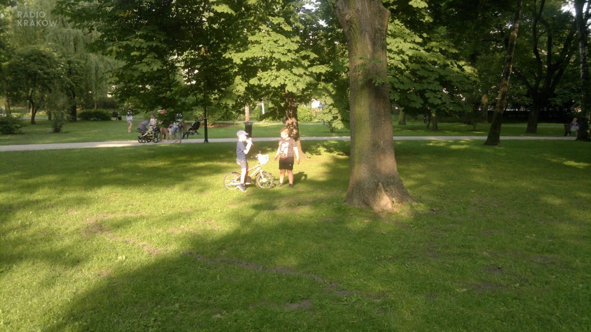 Park Krakowski od nowa