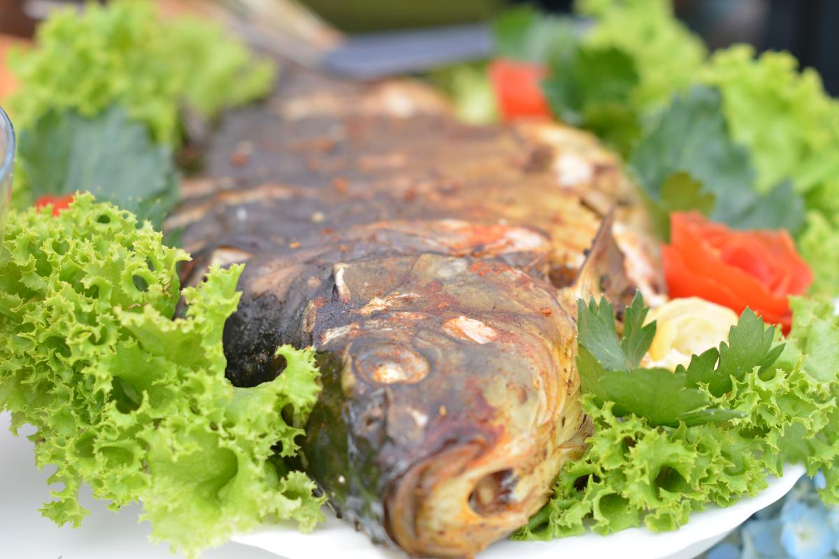 Karp zatorski w tym roku mniej i drożej