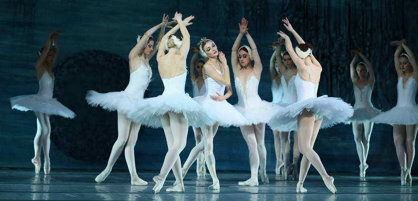 ROYAL LVIV BALLET „Jezioro łabędzie”