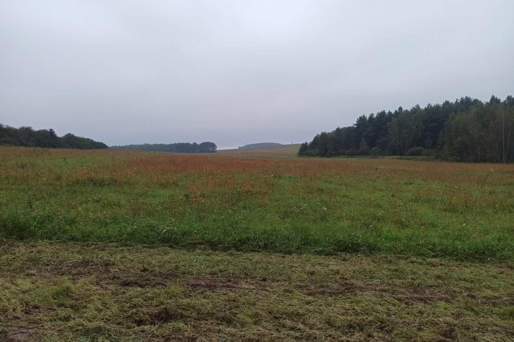 Gmina Trzebinia przeniesie zamknięte przez zapadliska obiekty