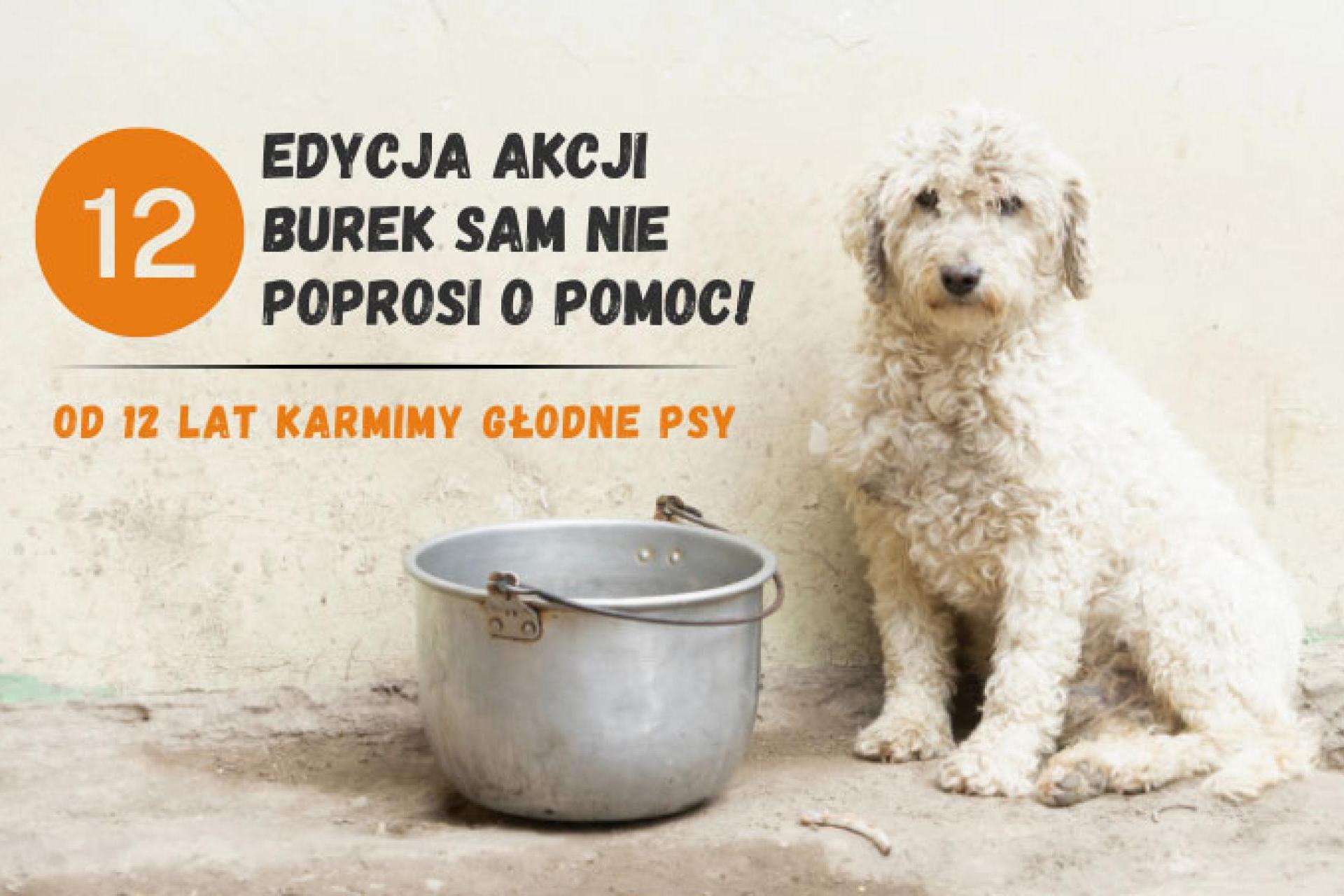 Burek sam nie poprosi o pomoc – już po raz 12. robimy to w jego imieniu!