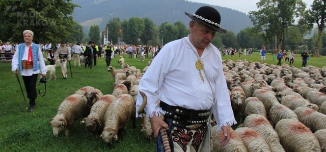 Tatry: to już koniec sezonu pasterskiego